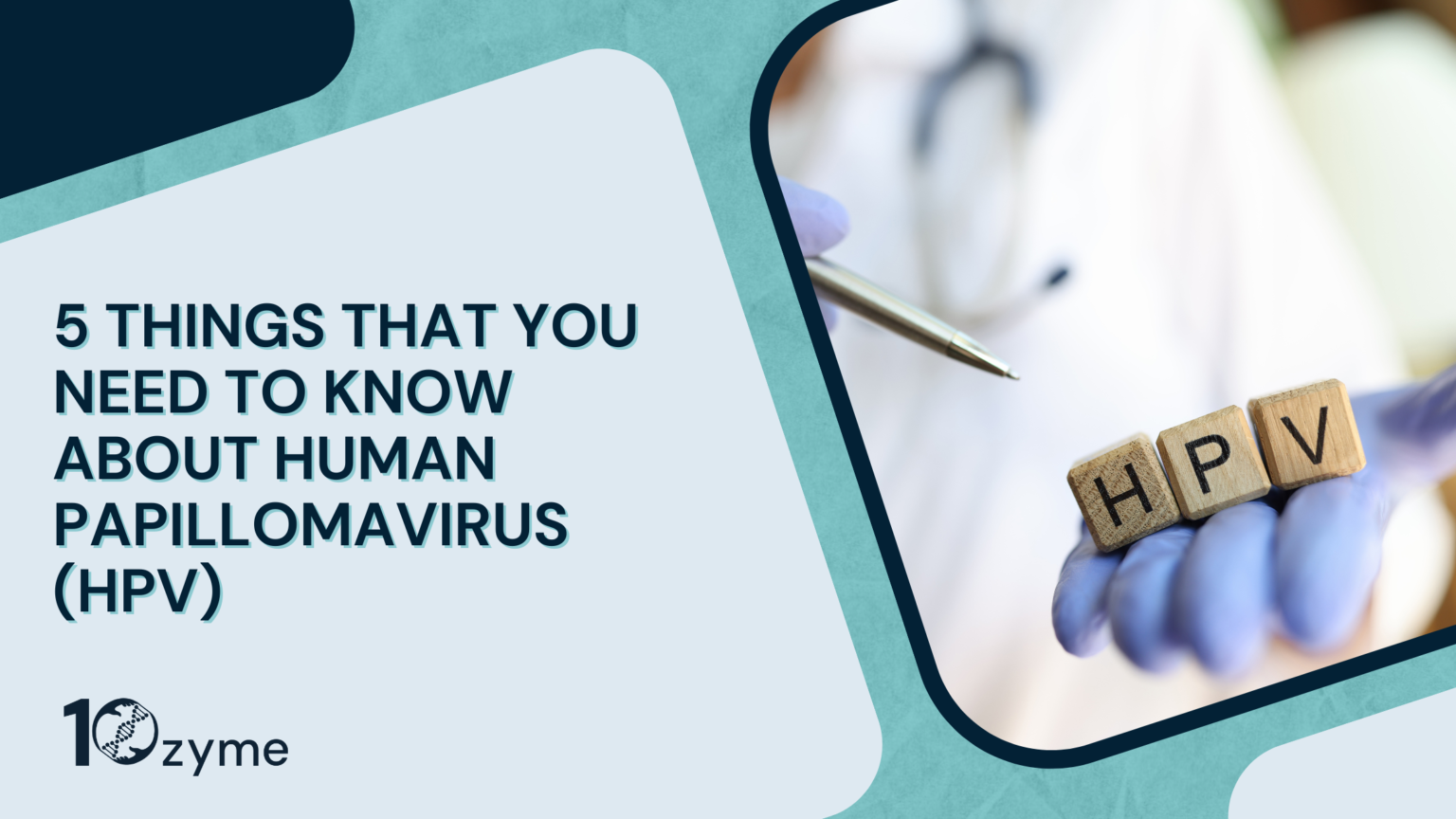 5 Things that You Need to Know About Human Papillomavirus (HPV) – 10zyme